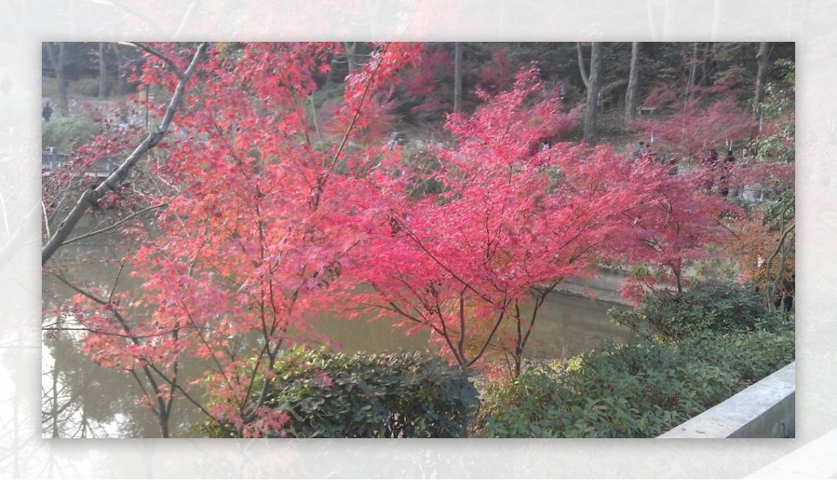 南京栖霞山图片素材-编号09624911-图行天下