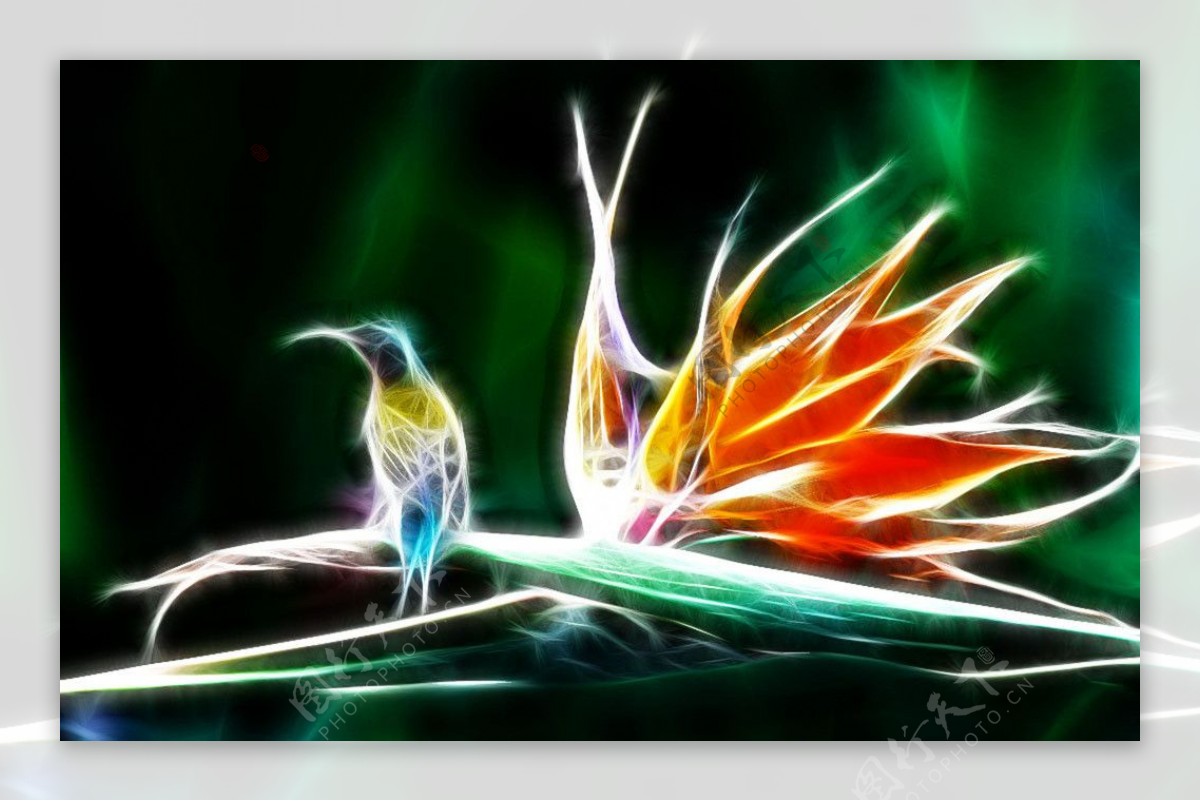 数码印花图片素材-编号10124631-图行天下