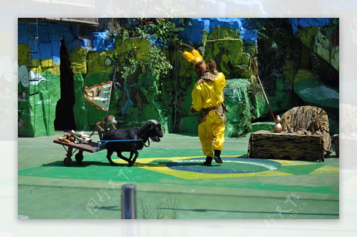 孙悟空图片素材-编号10382311-图行天下