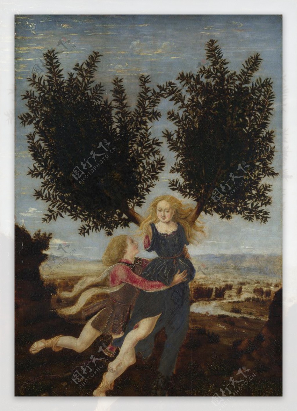 阿波罗和达芙妮图片素材-编号12063731-图行天下