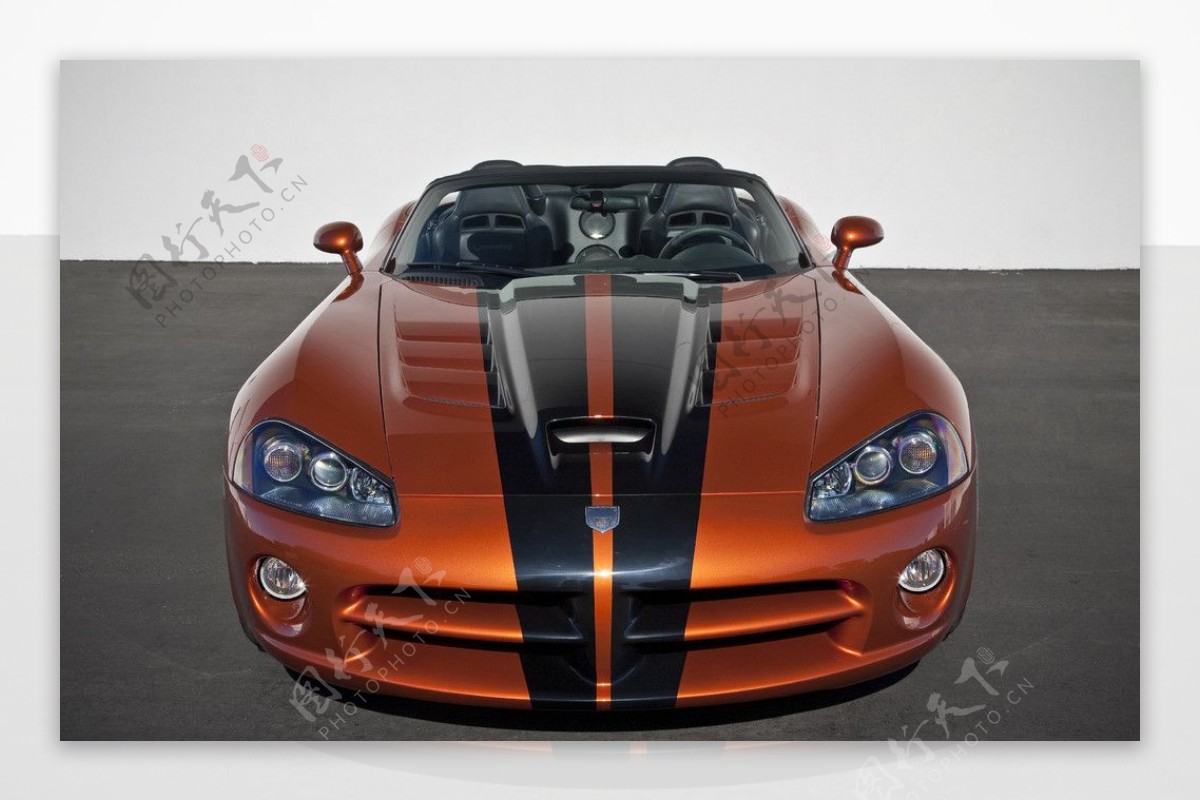 蝰蛇图片素材-编号12301201-图行天下