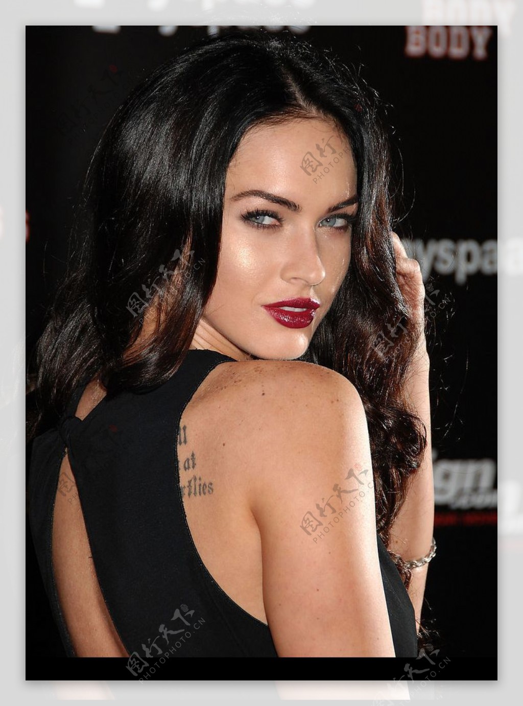 梅根183福克斯图片素材-编号12626001-图行天下