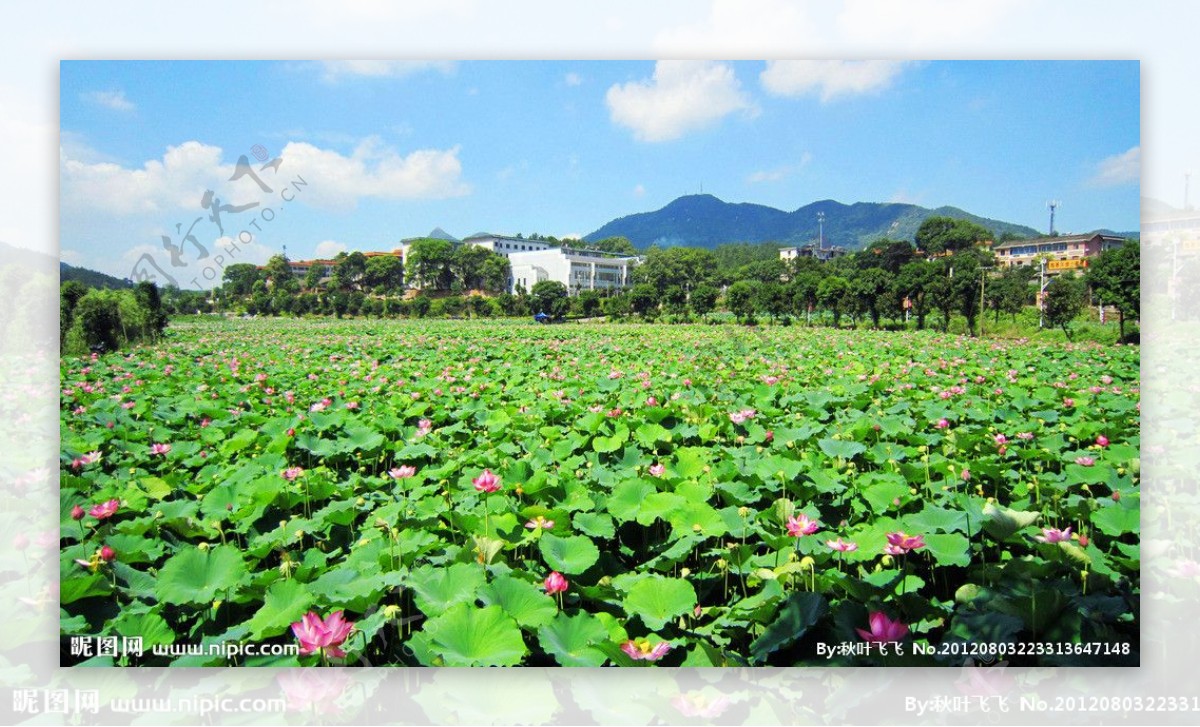 韶山图片素材-编号12696261-图行天下