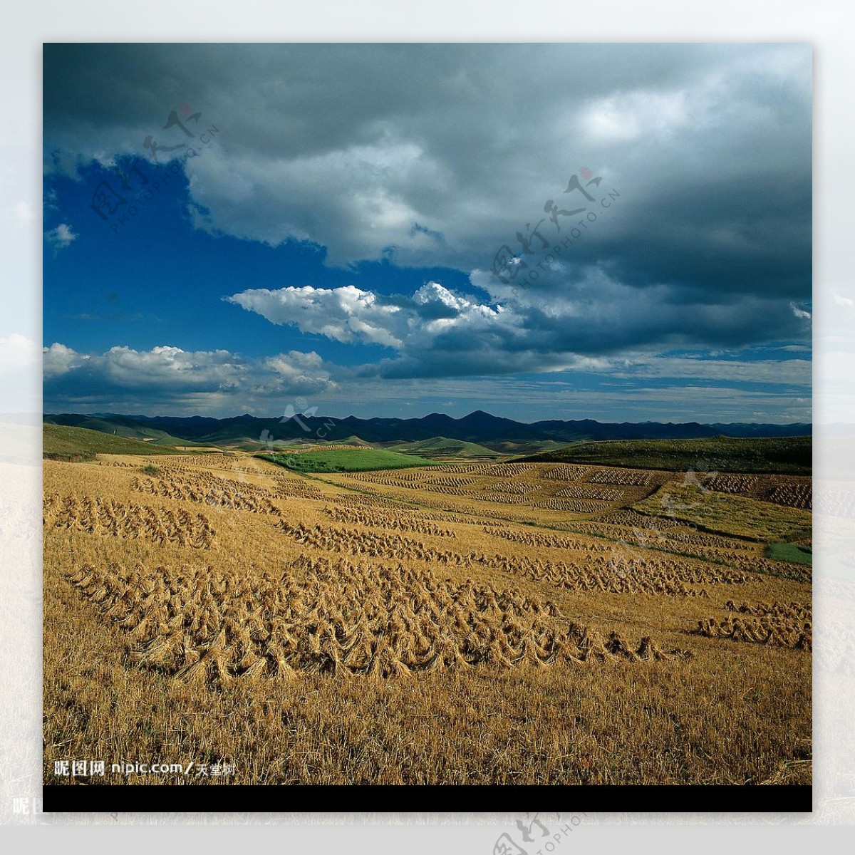 秋天的田野图片素材-编号15272251-图行天下