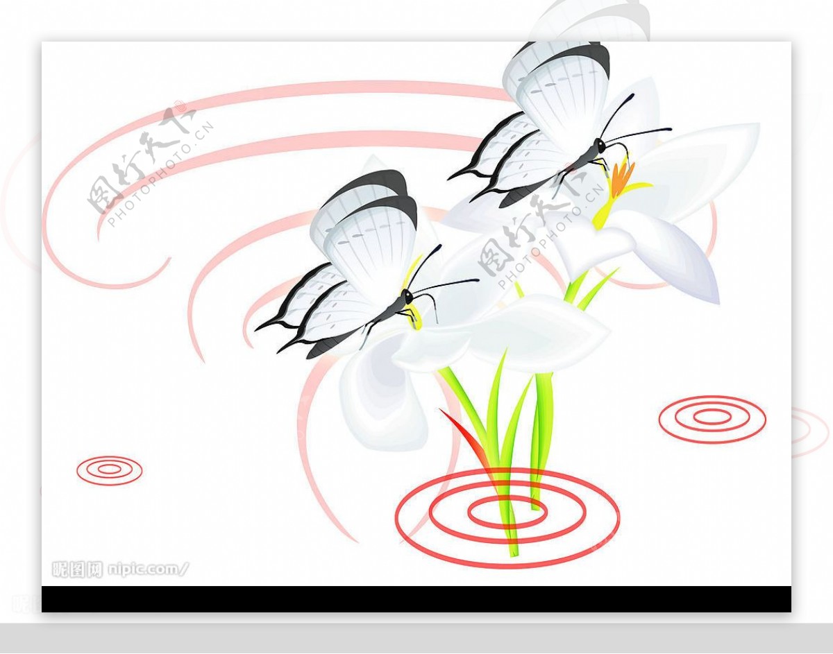 兰花和蝴蝶图片素材-编号15486971-图行天下