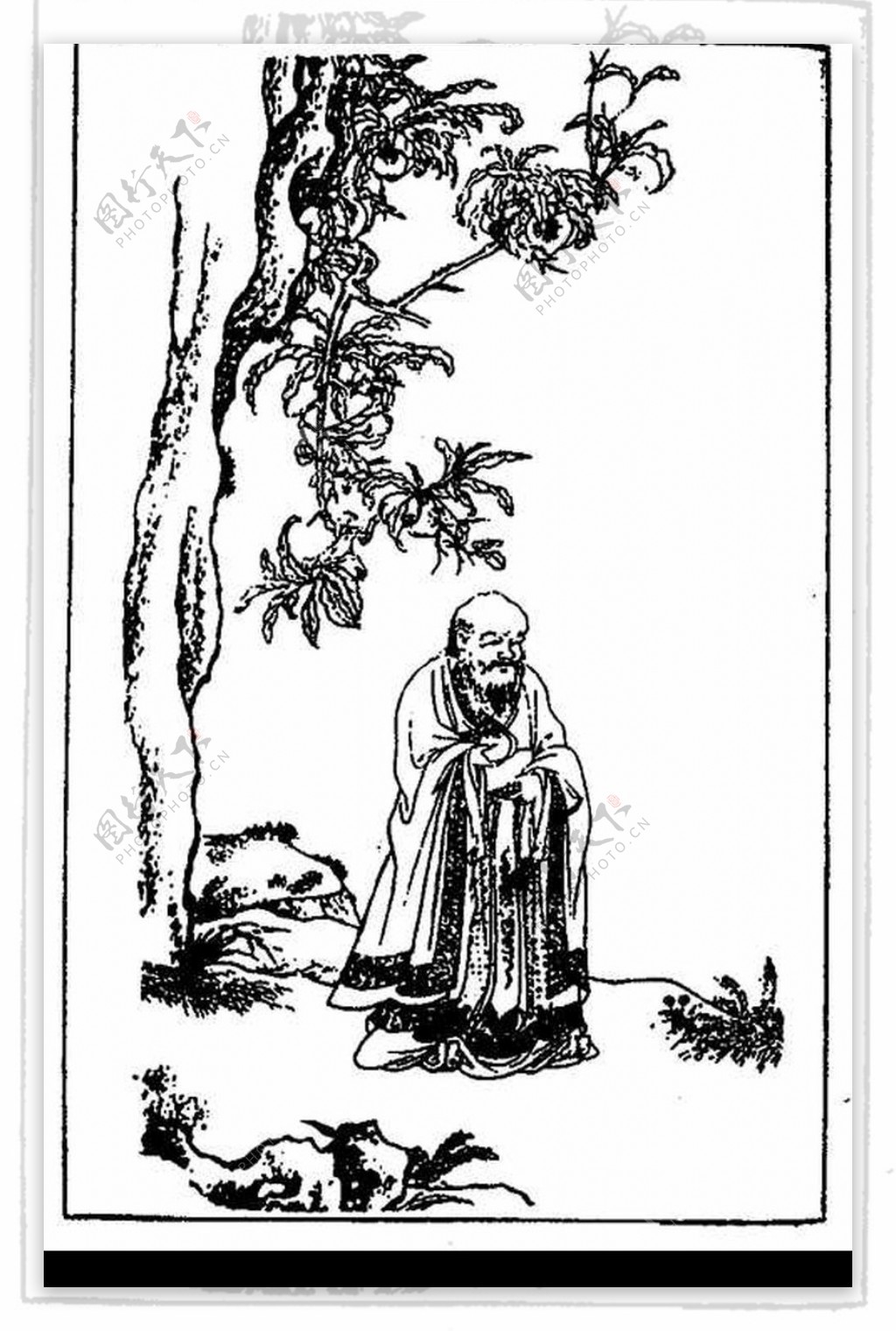 人物花纹0307图片素材-编号19780381-图行天下