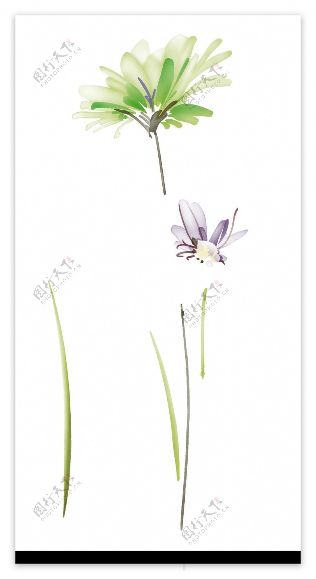 花纹0214图片素材-编号20052001-图行天下