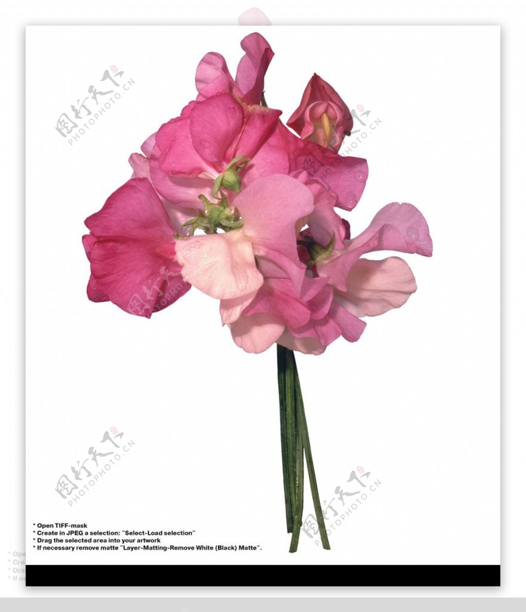 心形0092图片素材-编号20107201-图行天下