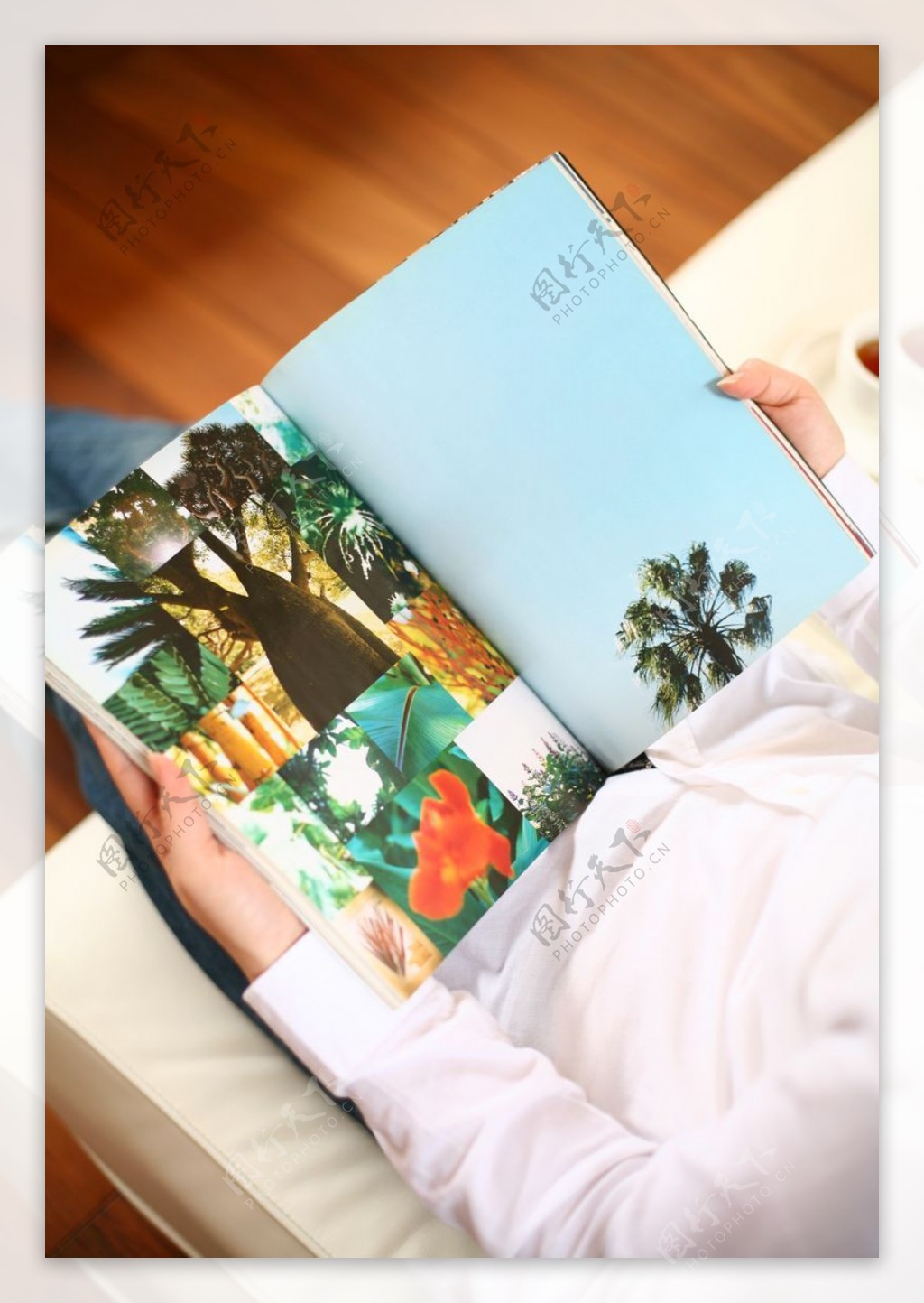 家居设计0037图片素材-编号20231851-图行天下