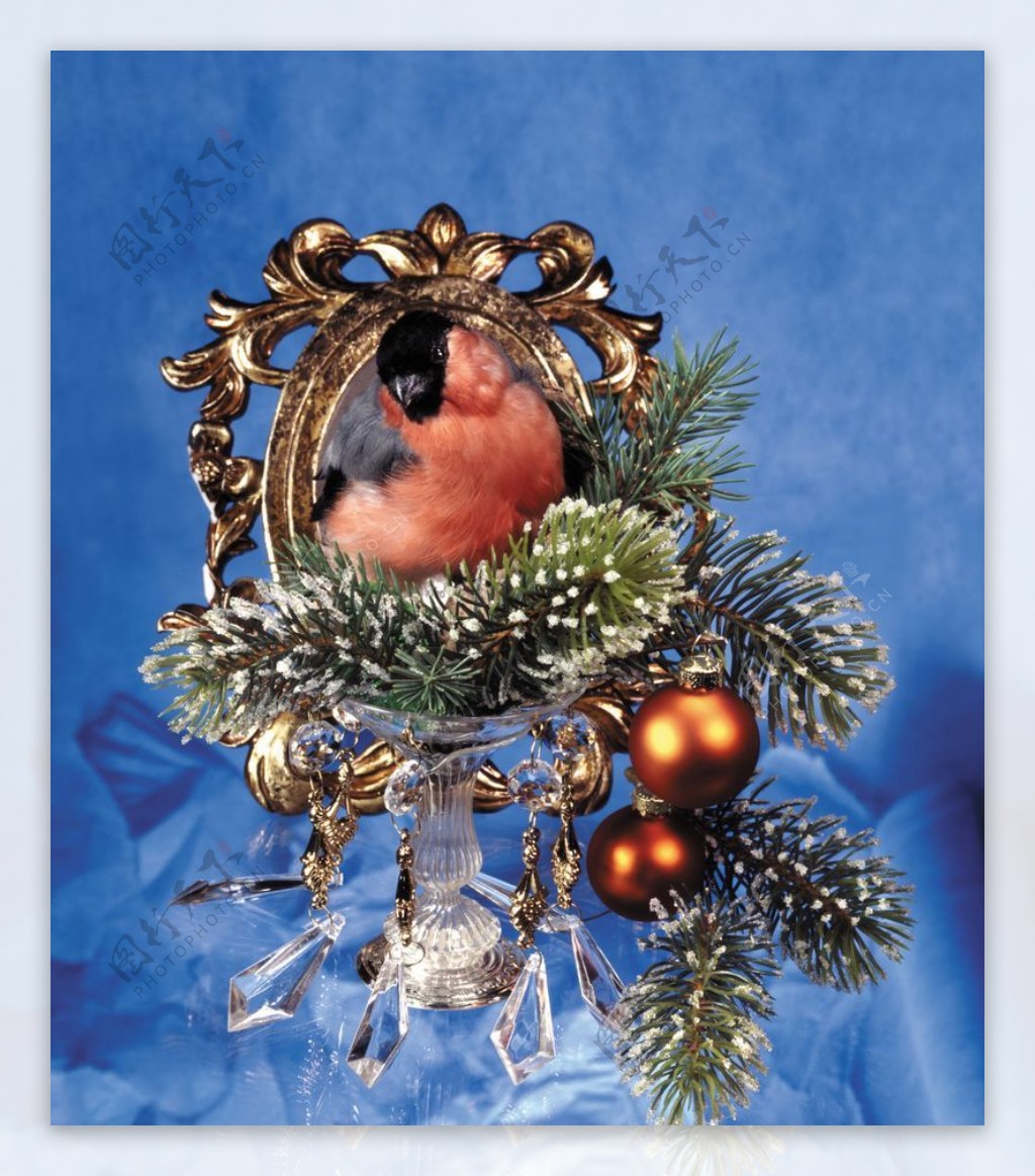 饰品0129图片素材-编号20303111-图行天下