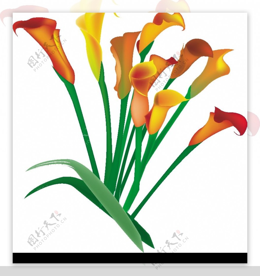 种植0042图片素材-编号20524531-图行天下