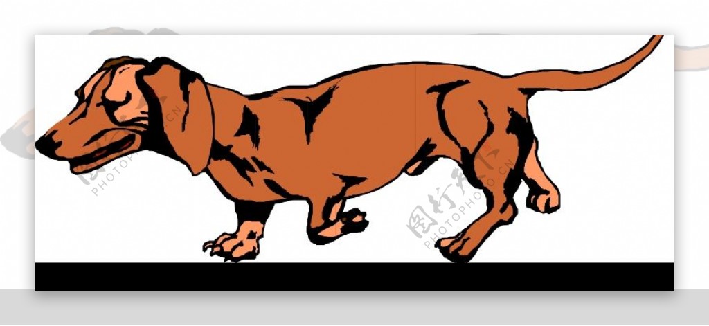 珍稀动物0607图片素材-编号20864221-图行天下