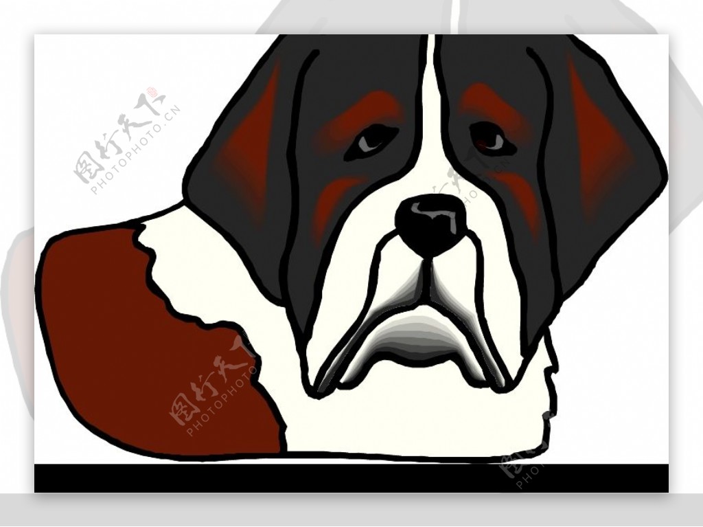 珍稀动物0677图片素材-编号20865601-图行天下