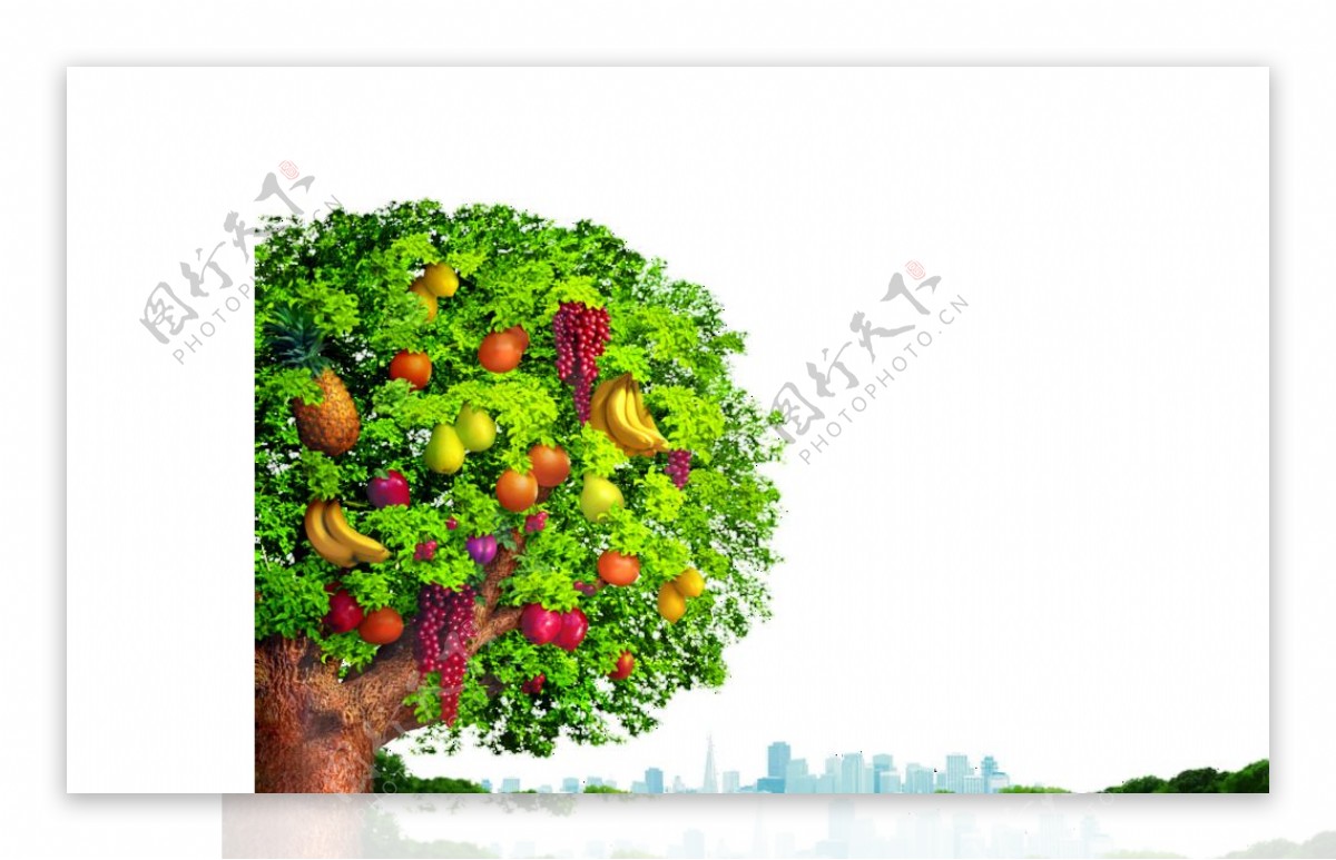 水果树图片素材-编号23520381-图行天下