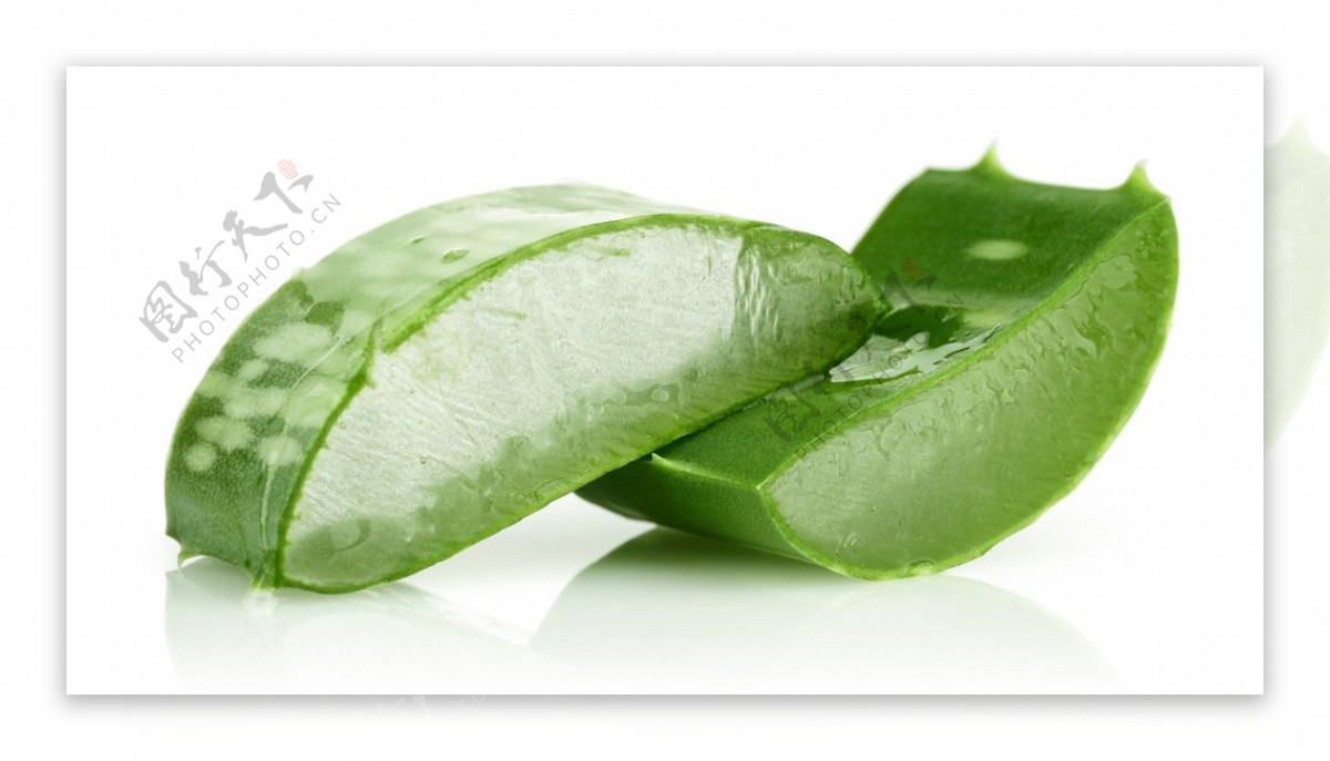 芦荟图片素材-编号24049671-图行天下