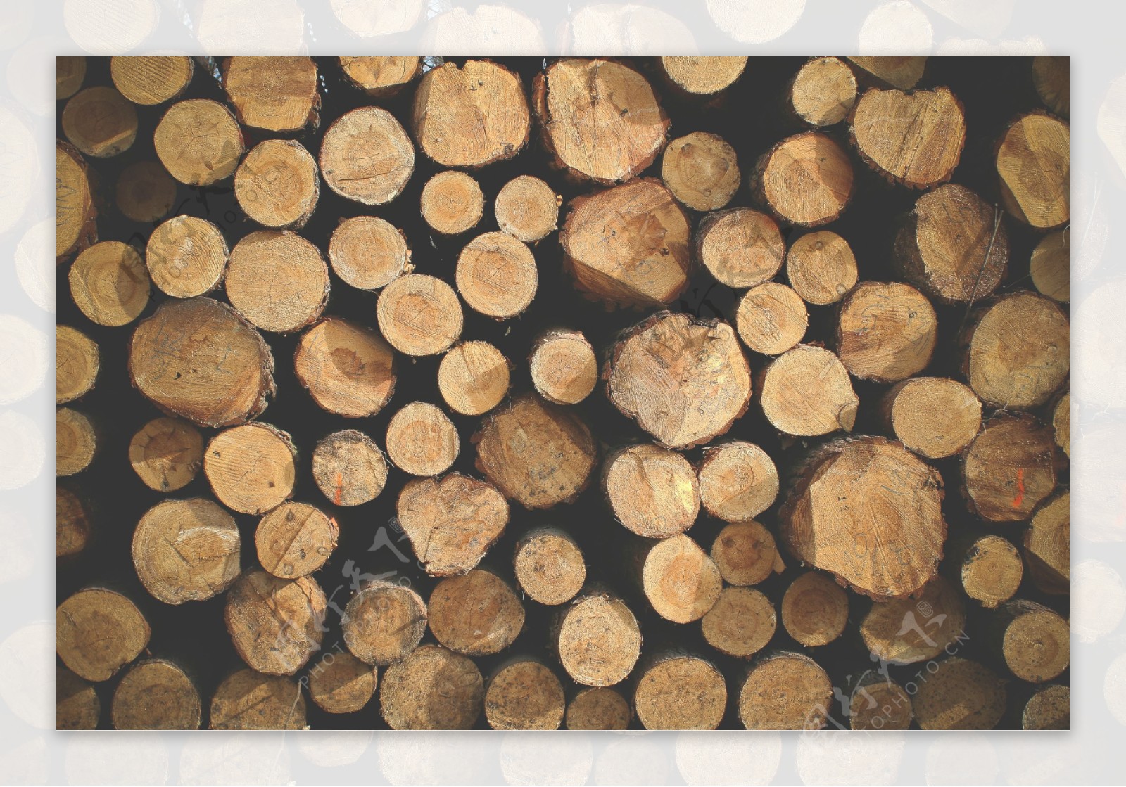 木材图片素材-编号24254001-图行天下