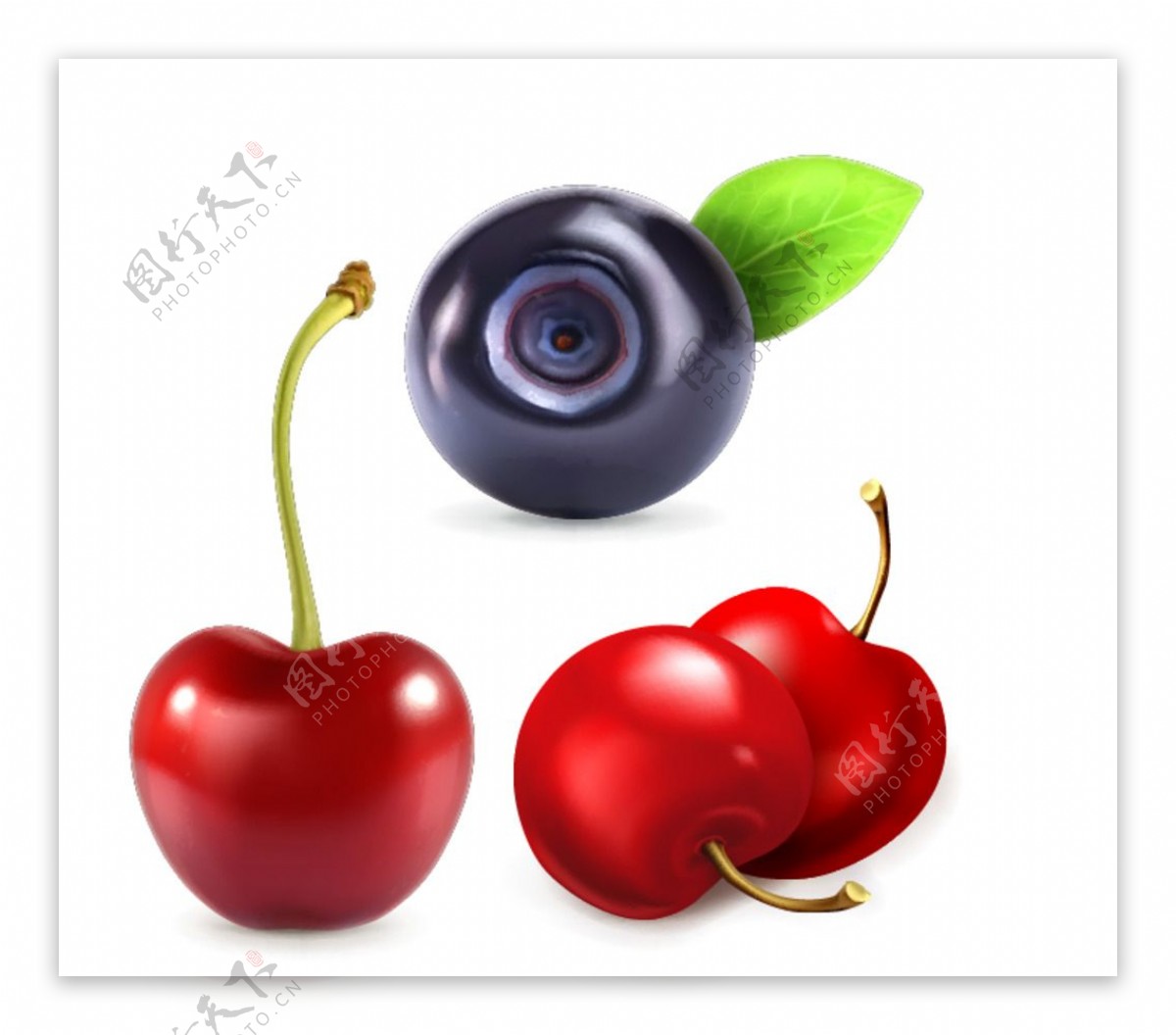 樱桃蓝莓图片素材-编号24445191-图行天下