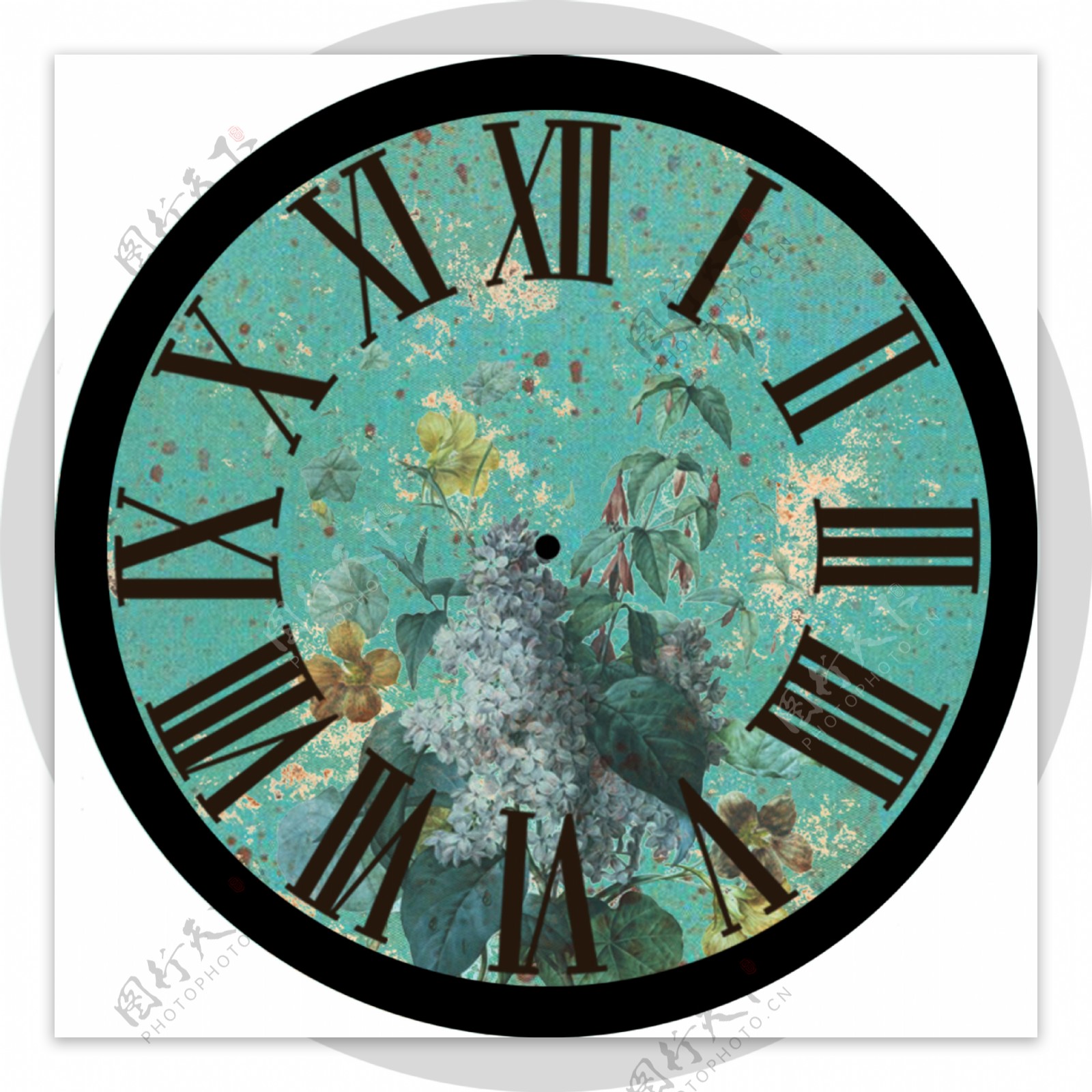 30cm2图片素材-编号24716911-图行天下