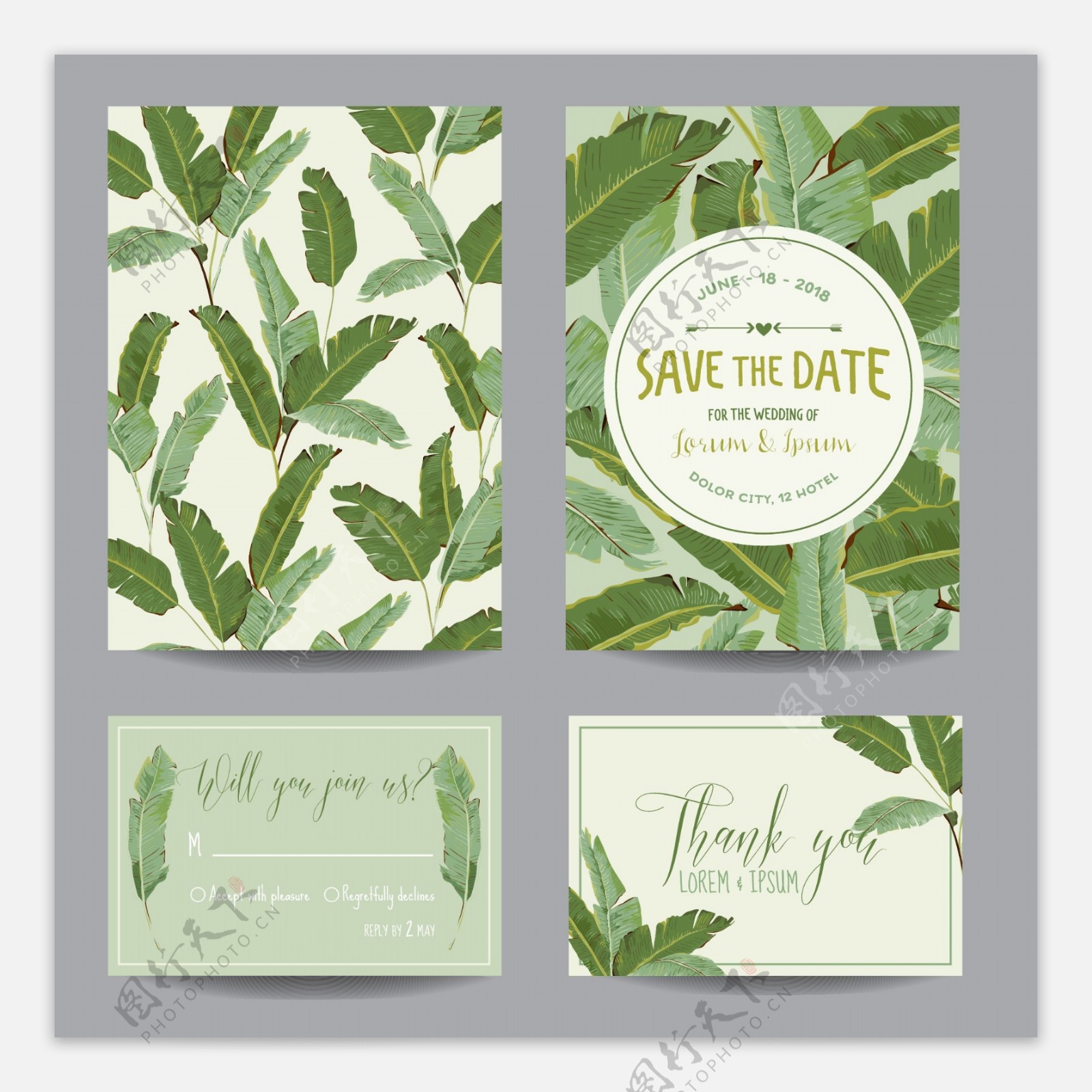 绿色清新叶子背景图片素材-编号24824281-图行天下