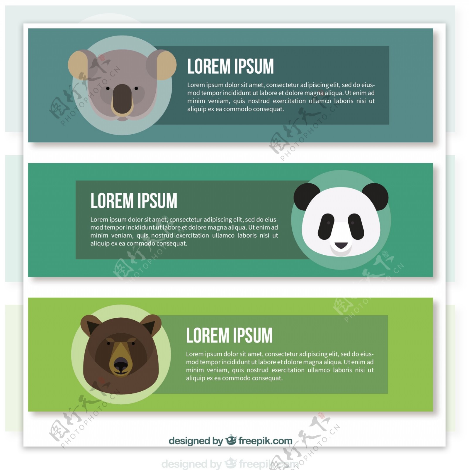 动物横幅模板集图片素材-编号25099901-图行天下