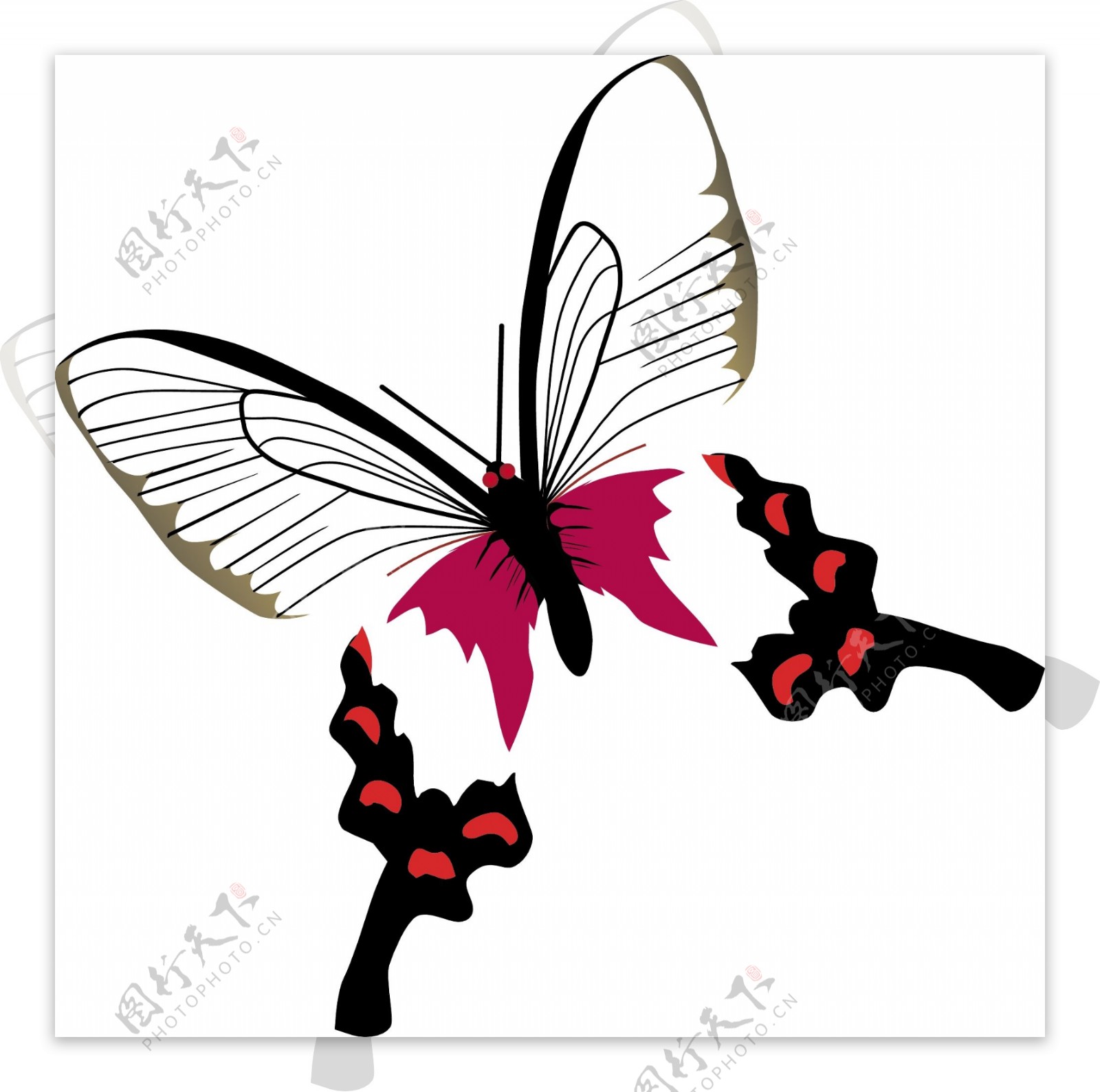 蝴蝶昆虫缤纷彩蝶矢量动物卡通动物AI格式0093图片素材-编号26242421-图行天下