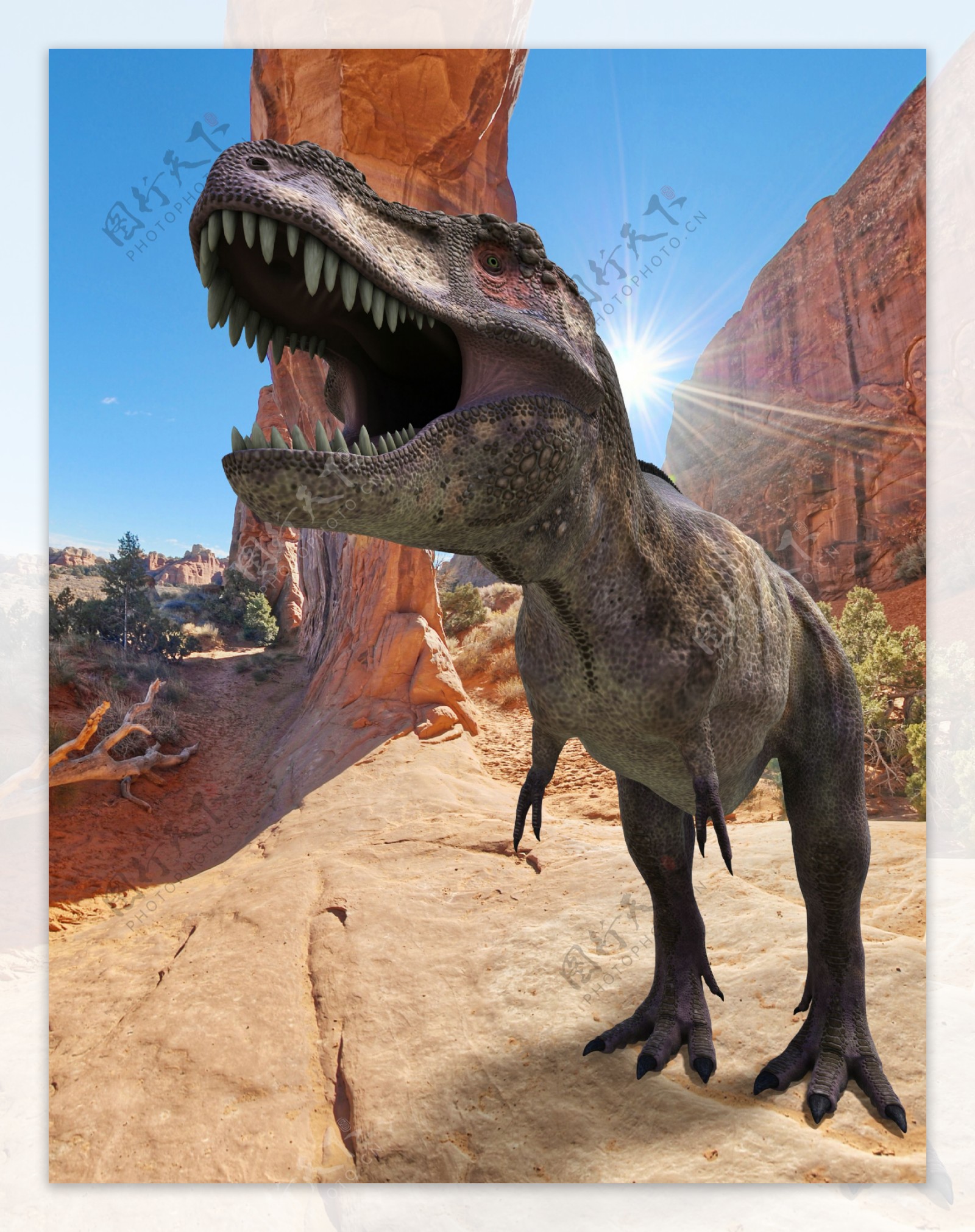 霸王龙图片素材-编号26385121-图行天下