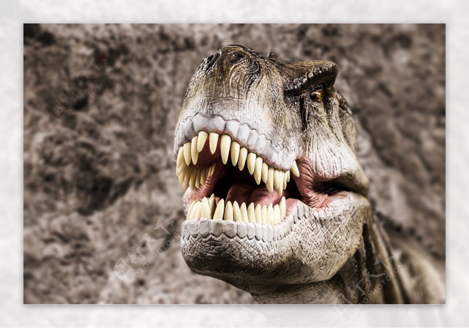 霸王龙图片素材-编号27301851-图行天下