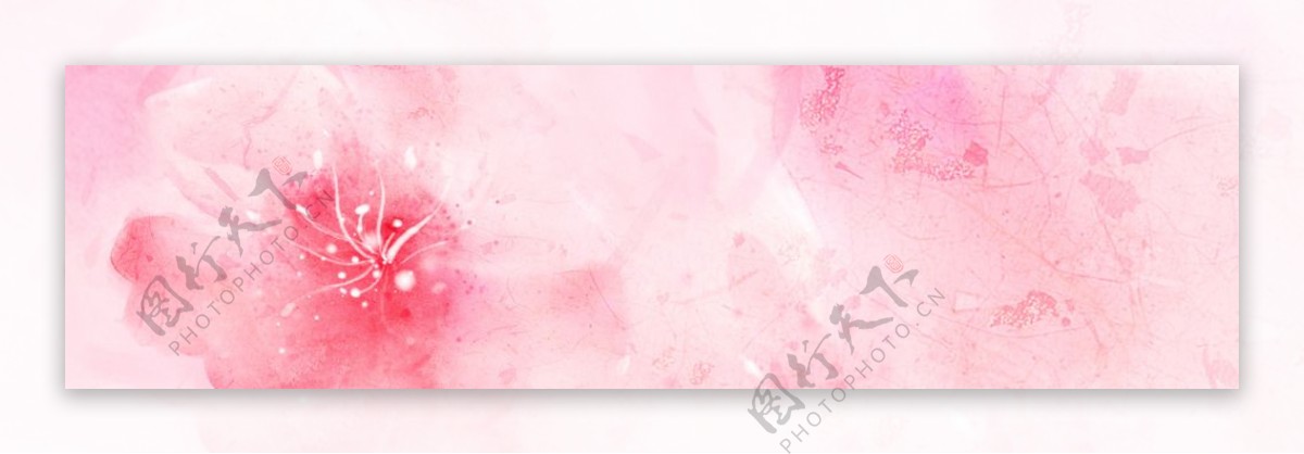 电商粉色花广告背景图片素材-编号28428001-图行天下