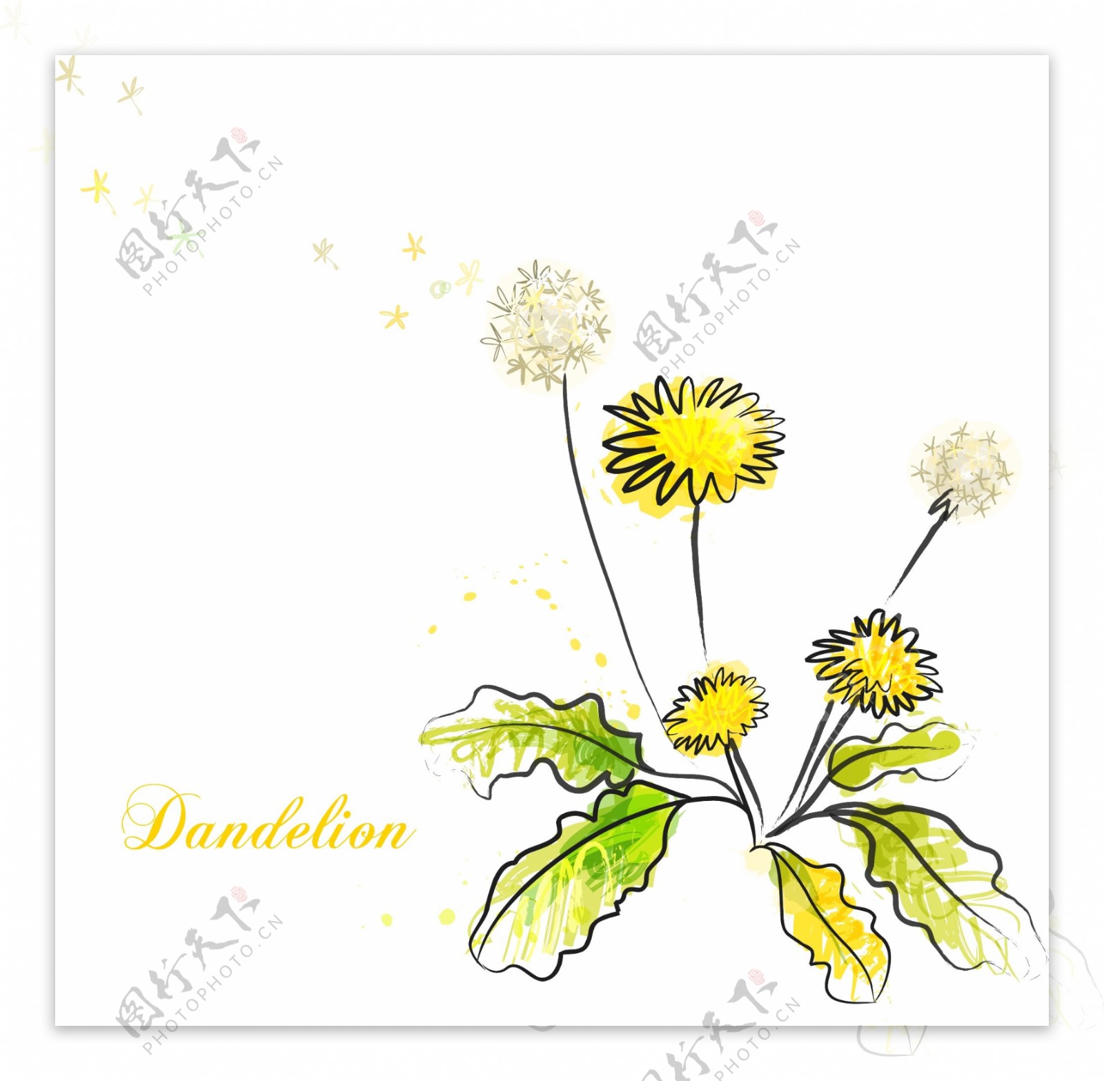 蒲公英矢量图图片素材-编号29172971-图行天下