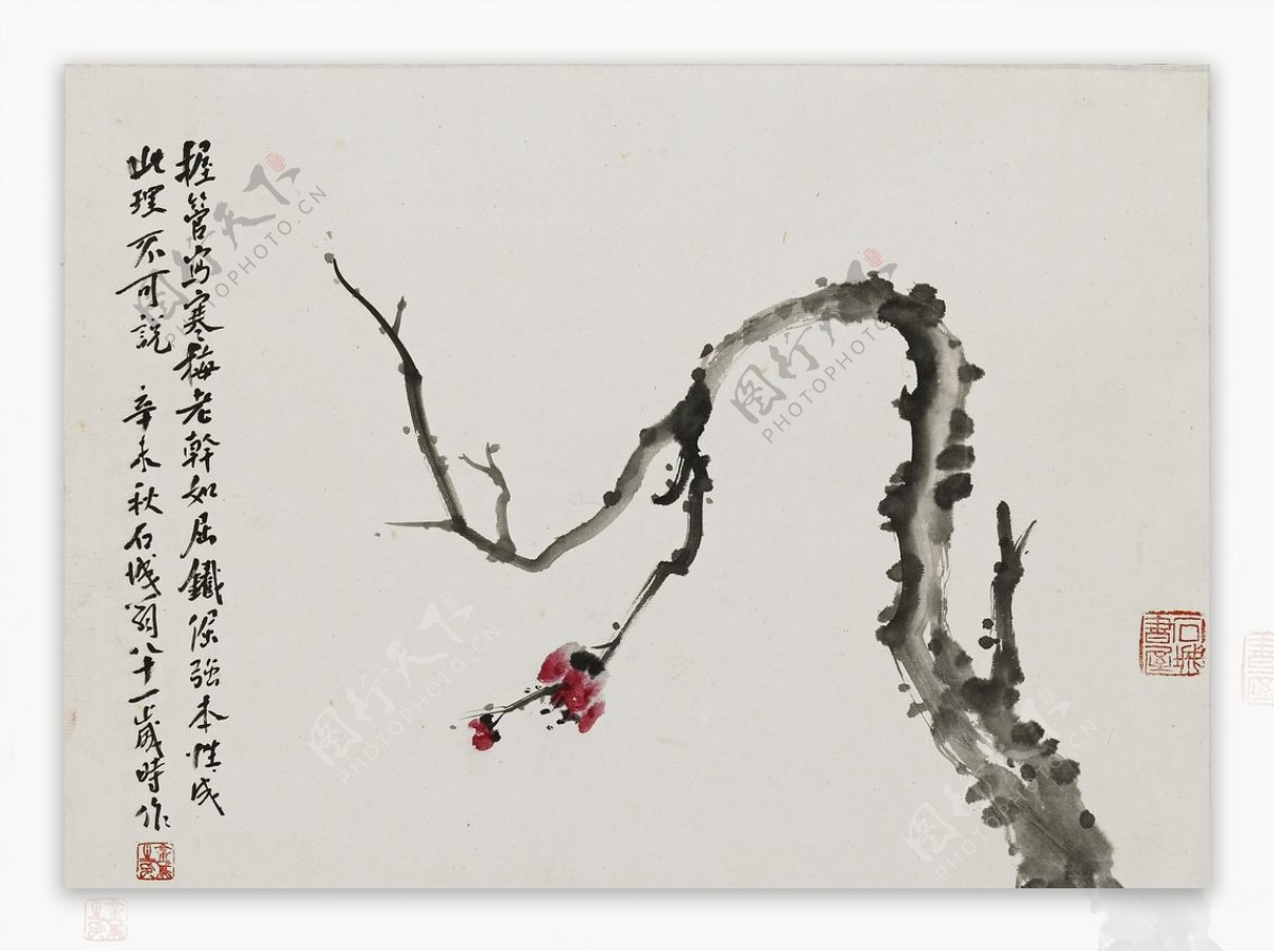 寒梅图图片素材-编号31367101-图行天下