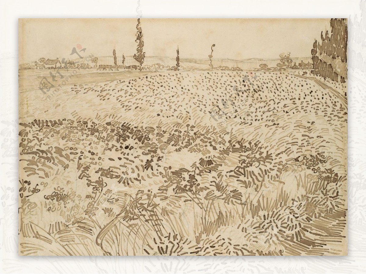 素描图片素材-编号39138751-图行天下