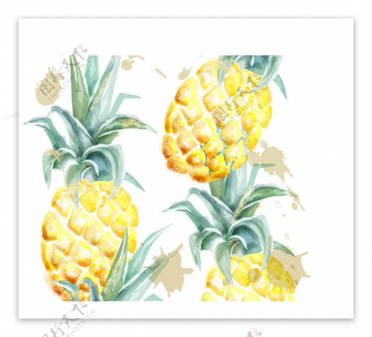 菠萝图片素材-编号39304901-图行天下